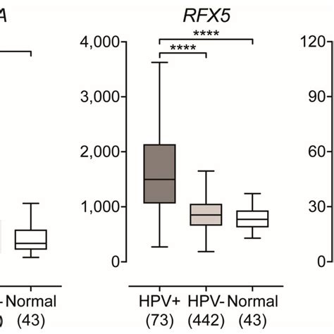 Expression Of Class Ii Major Histocompatibility Complex Transactivator Download Scientific