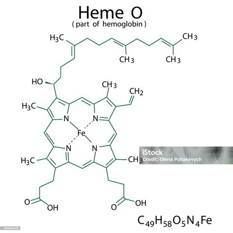 Hemoglobin Chemical Structure