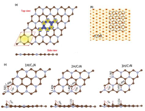 Surface Functionalization Strain Tune Electronic And Magnetic Properties Of 2d Polyaniline