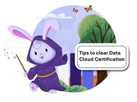 Santanu Boral ☁ On Linkedin Salesforce Datacloud Certification