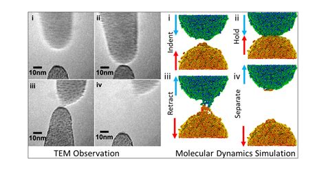 Nanoscale Adhesion And Material Transfer At 2d Mos2mos2 Interfaces