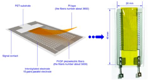 Schematic Diagram Of The Interdigitated Idt Electrode Download Scientific Diagram