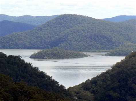 My Growing Passion Peacock Carpenter Bee