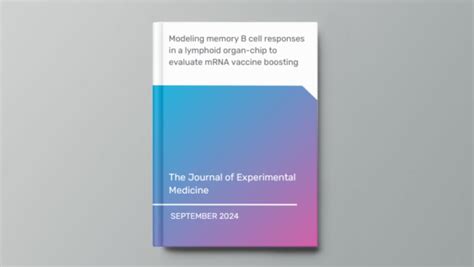 Modeling Memory B Cell Responses In A Lymphoid Organ Chip To Evaluate Mrna Vaccine Boosting
