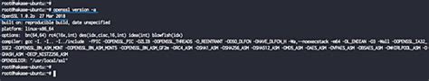 How To Install The Latest Openssl Version From Source On Linux مدیریت