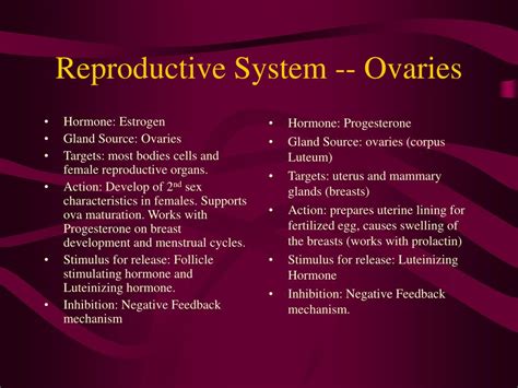 Ppt Endocrine System Powerpoint Presentation Free Download Id 3765437