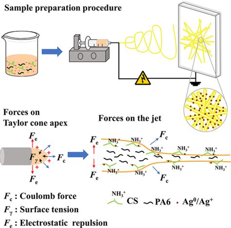One‐step Synthesis Of Silver Nanoparticles Exposed On The Chitosan‐covered Polyamide 6