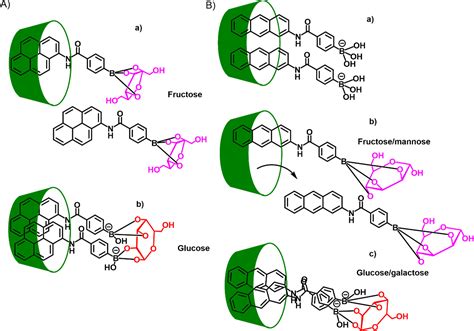 Cyclodextrin Host Guest Recognition In Glucose Monitoring Sensors Acs Omega