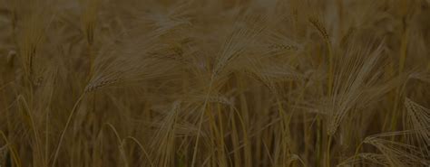 Заказать оборудование для сельского хозяйства и фермеров производство ...