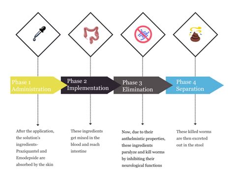 Profender For Cats Best Worm Treatment Budgetvetcare