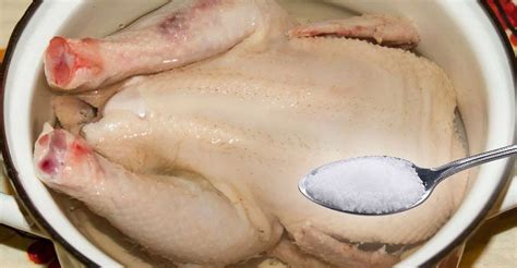 2 გამოცდილი მეთოდი როგორ გაწმინდოთ ქათამი მავნე დანამატებისგან რჩევები ვივიენისგან