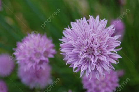 Urt Background Images Hd Pictures And Wallpaper For Free Download