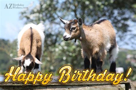 Birthday Wishes With Goat Birthday Images Pictures