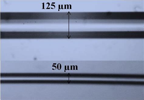 SEM Images Of Sensing Part Before And After The Etching Download Scientific Diagram