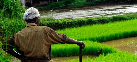 Science Based Targets For Nature Sbtn Nature Based Solutions Initiative