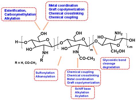 Update On Chitosan Based Hydrogels Preparation Characterization And