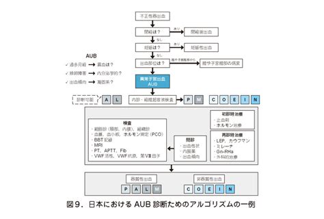（3）日本の実情に合わせたaub 診断手順の1例 日本産婦人科医会