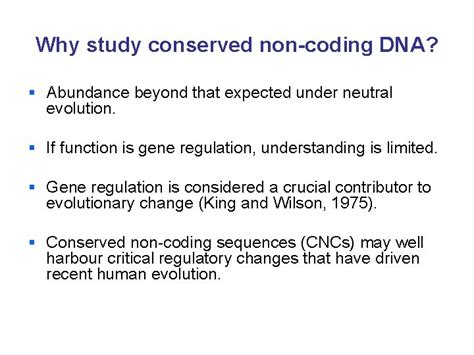 Exploring The Role Of Noncoding Dna In The