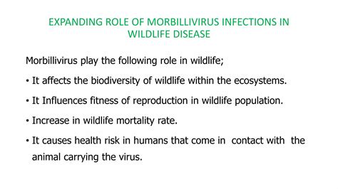 Morbillivirus And Wildlife Disease Pptx