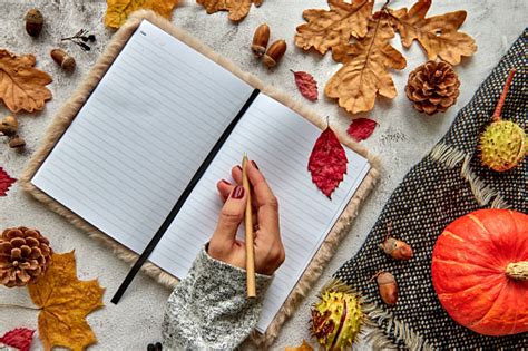 말린 잎 호박 소나무 콘 도토리 따뜻한 스카프와 콘크리트 배경에 펜손으로 만든 가을 가을 또는 할로윈 구성 복사 공간이 있는 템플릿 모형 빈 노트북 0명에 대한 스톡 사진