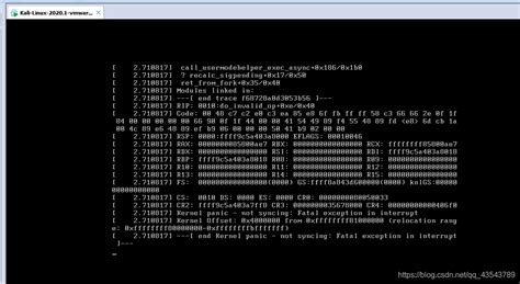 Vmware Kali Kernel Panic Not Syncing Fatal Exception In Interrupt Vmware
