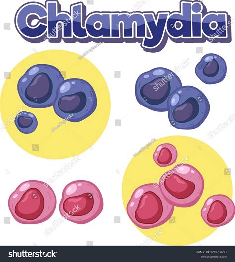 Chlamydia Trachomatis Virus On White Background Stock Vector Royalty Free 2265730271