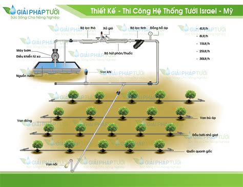 Bản vẽ D