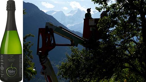 Italiensk Cider På Systembolaget Riktig Cider
