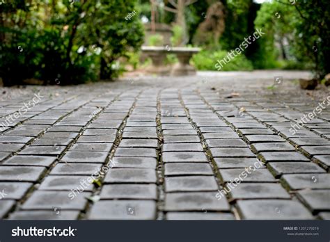 14640 Imágenes De Cobble Stone Walking Path Imágenes Fotos Y
