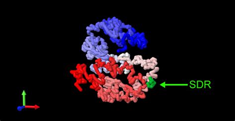 Life Sciences Chinese Academy Of Sciences