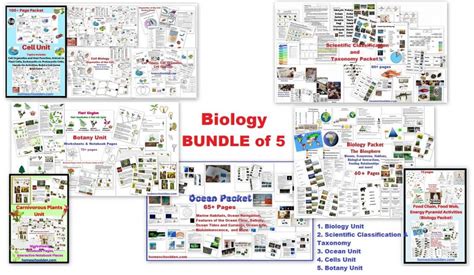 Link Biology Unit 1 Packet