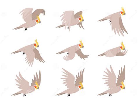 cartoon cockatoo parrot fly animation frames sequence animated sprites
