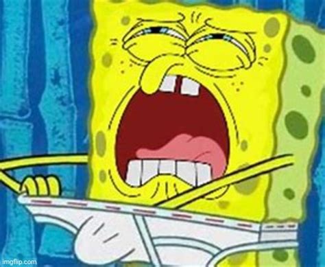 Spongebob Boner Imgflip Spongebob Boner Imgflip