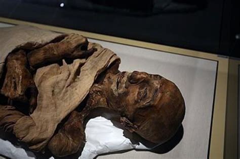 英 사람 유해 전시·경매 금지 추진…이주민 사회에 고통 노컷뉴스