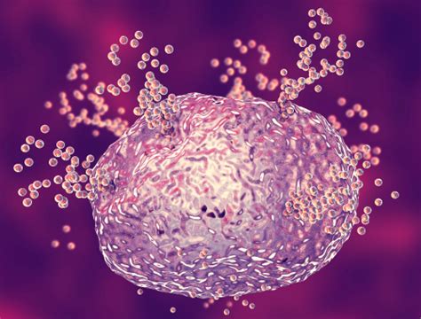 Similarities Between Endocytosis And Exocytosis KnowsWhy Com