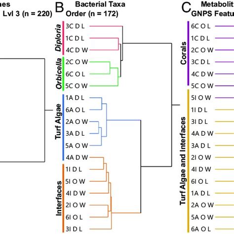 hierarchical clustering of samples metagenomic and metabolomic data