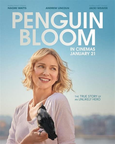 Film And Book Review Penguin Bloom Jericho Road