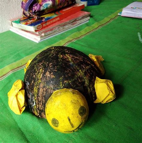 පිපෙන කැකුළු නාමල්ගම