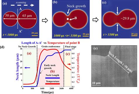 Comparison Between The Phase Field Model Prediction And The