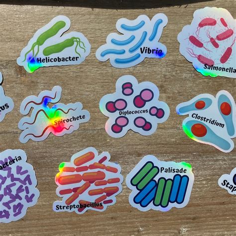 The Microbe Sticker Etsy
