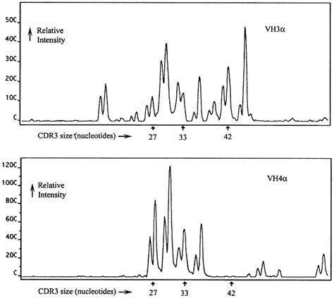 Dye Labeled Runoff Reactions Of Paraffin Embedded Formalin Fixed Download Scientific Diagram
