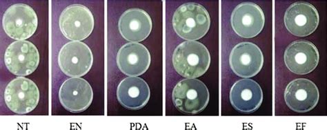 Effect Of Spent Mushroom Compost Extracts On L Fungicola Growth On Pda