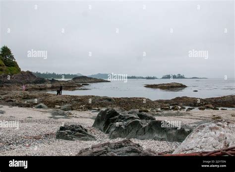Beach Rocks At Low Tide Chesterman Beach Tofino British Columbia