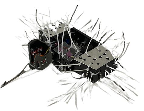 File Ziptide 3lb May22 Png Nhrl