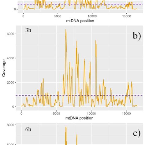 Revised Cambridge Reference Sequence Rcrs Reference Mtdna Sequence