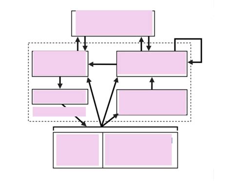 Hippocampus Entorhinal Circuit And Function Quiz