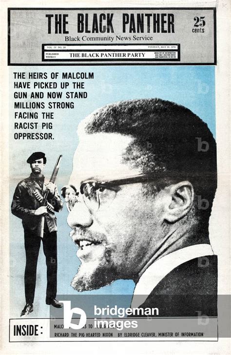Malcolm X En De Zwarte Panters