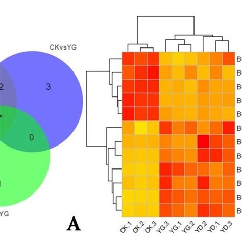 statistics analysis of rna sequencing data download scientific diagram
