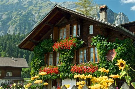 A Gardeners Pride A Photo From Bern West Trekearth Swiss House