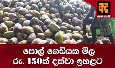පොල් ගෙඩියක මිල රු 150ක් දක්වා ඉහළට Ada Online